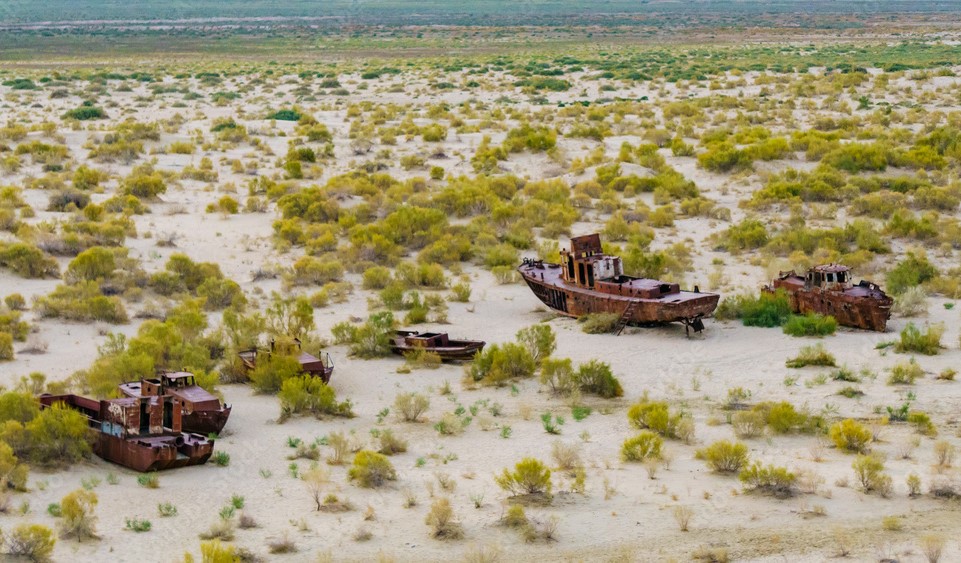 Green Aral Sea
